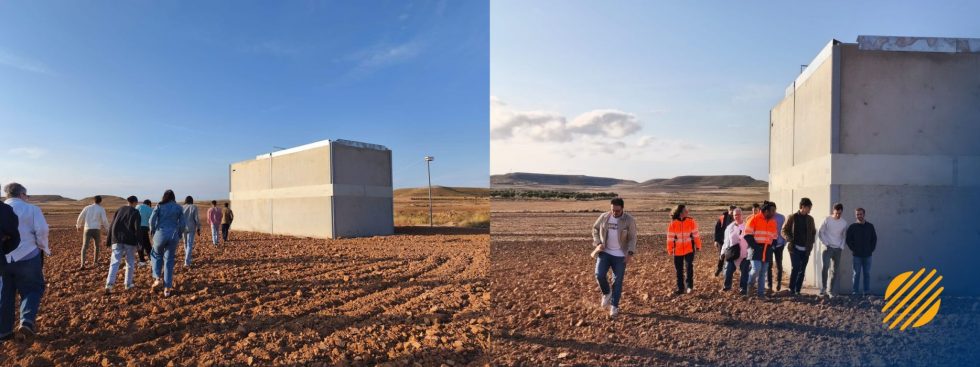 Enerland Group, Galp y DEMA impulsan la conservación del cernícalo ...